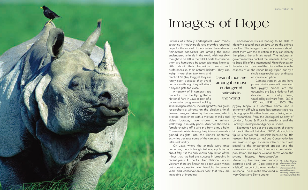 Website | Why the Cheetah Cheats