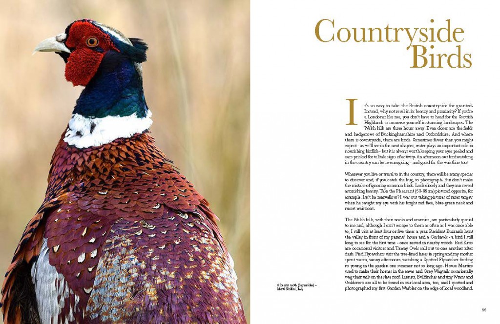 HTSB - Countryside Birds - Papadakis Publisher