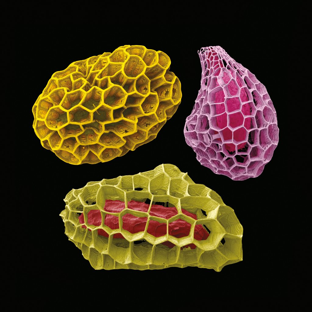 The Papadakis Blog - Papadakis Publisher